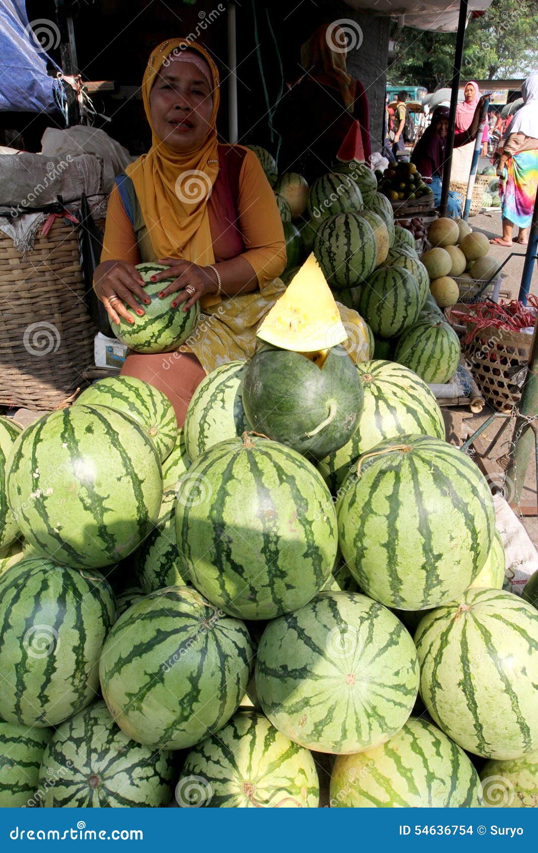 Watermelons editorial stock image. Image of farmers, cucurbita - 54636754