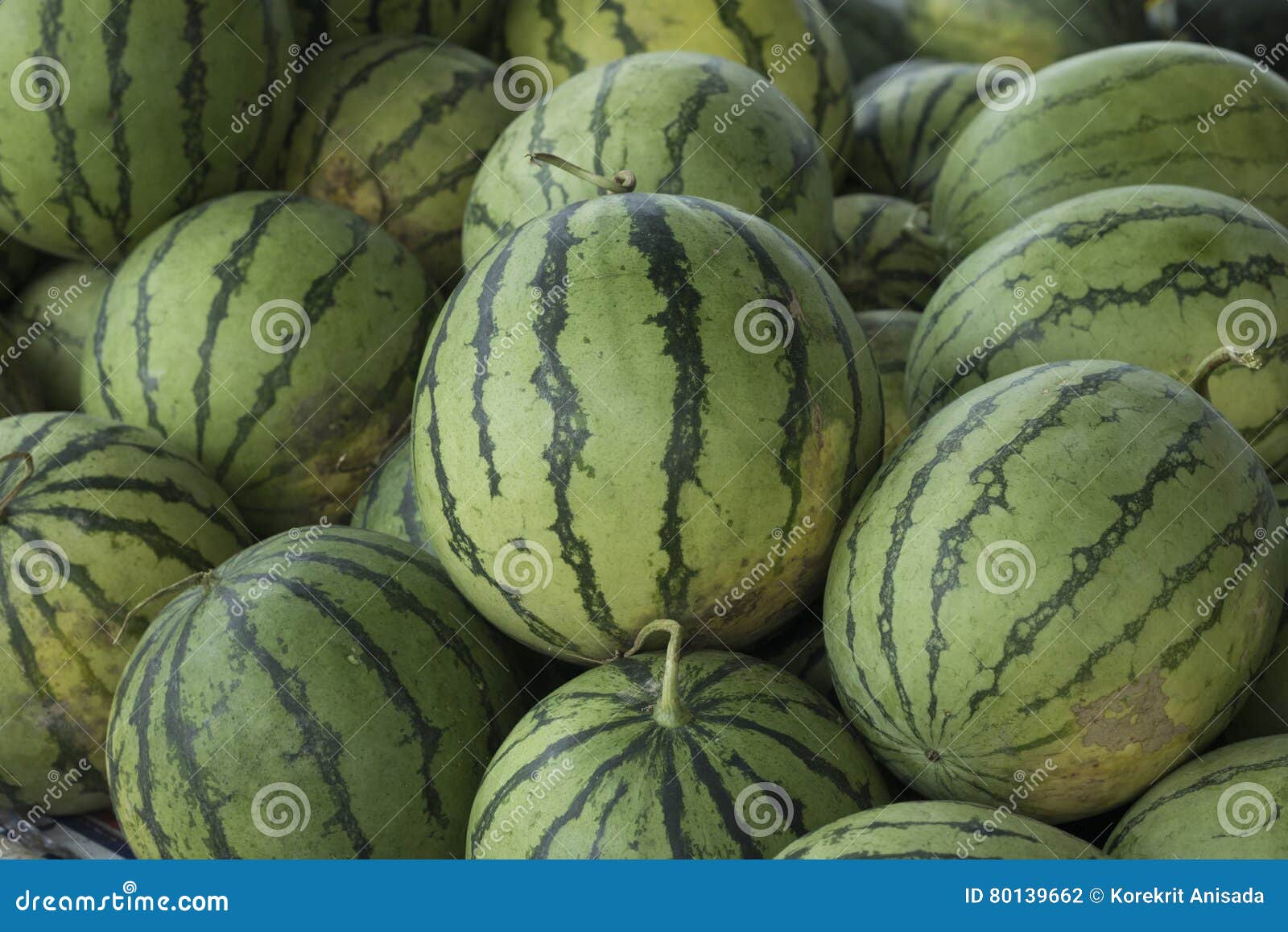 Watermelons. stock photo. Image of color, watermelons - 80139662