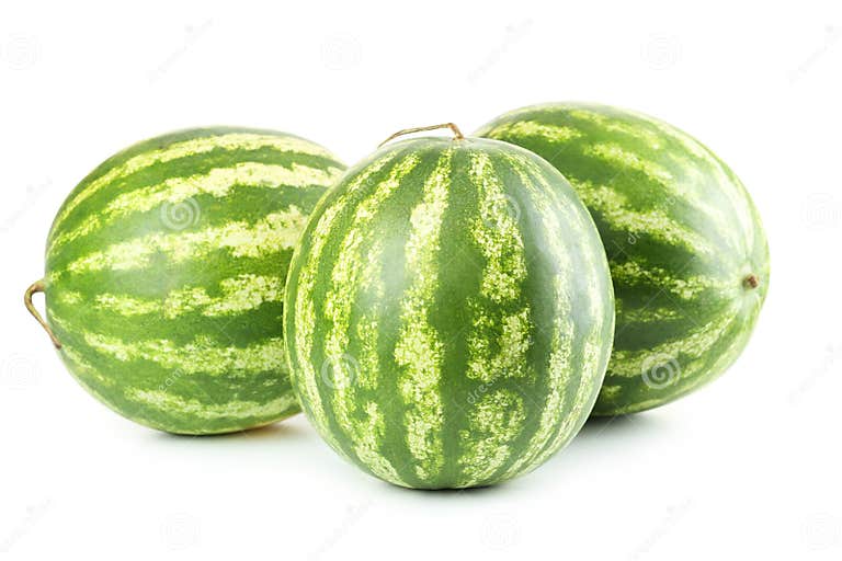 Watermelons stock photo. Image of juicy, nature, food - 60505374