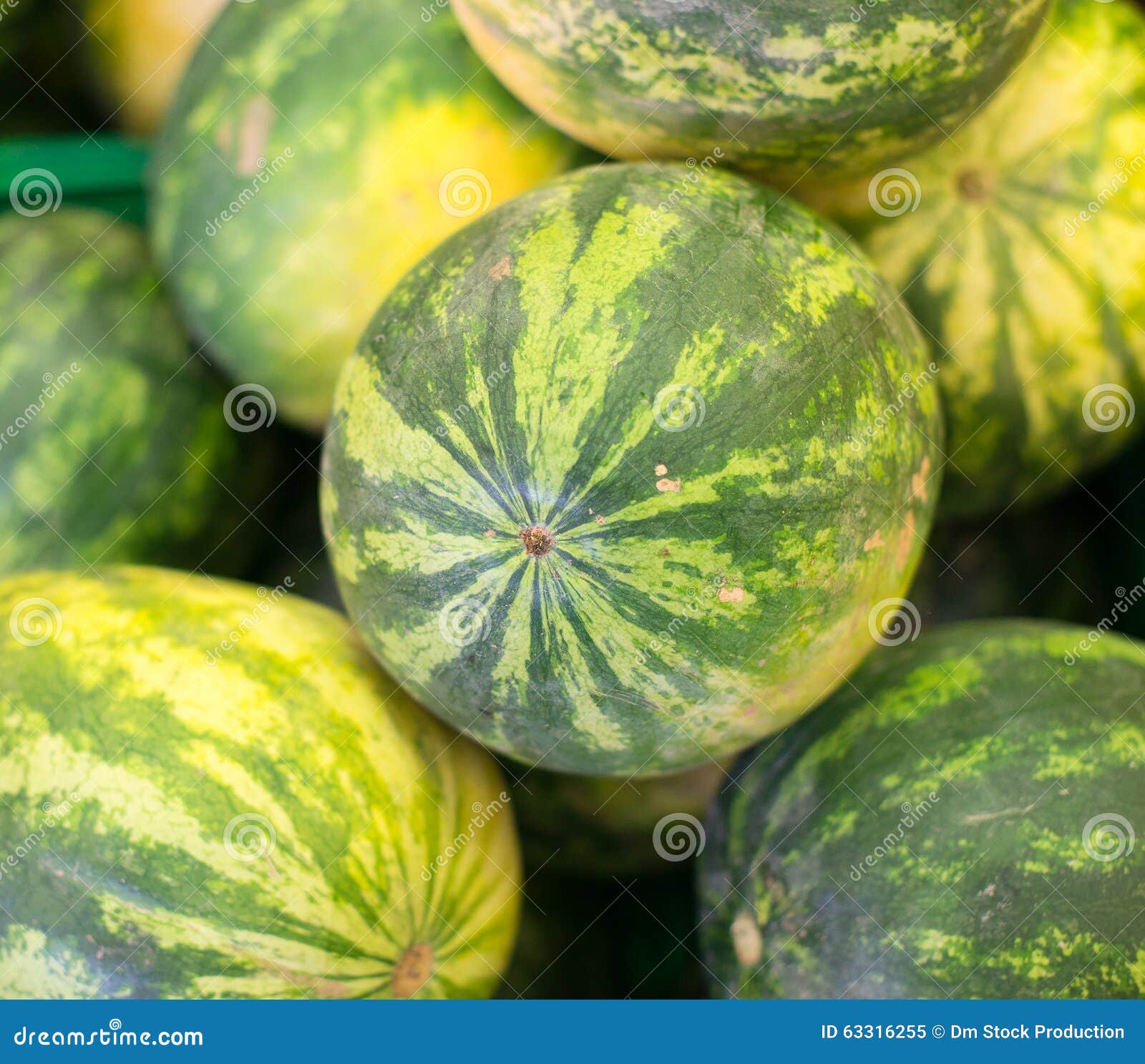 Watermelons. stock image. Image of round, natural, agriculture - 63316255