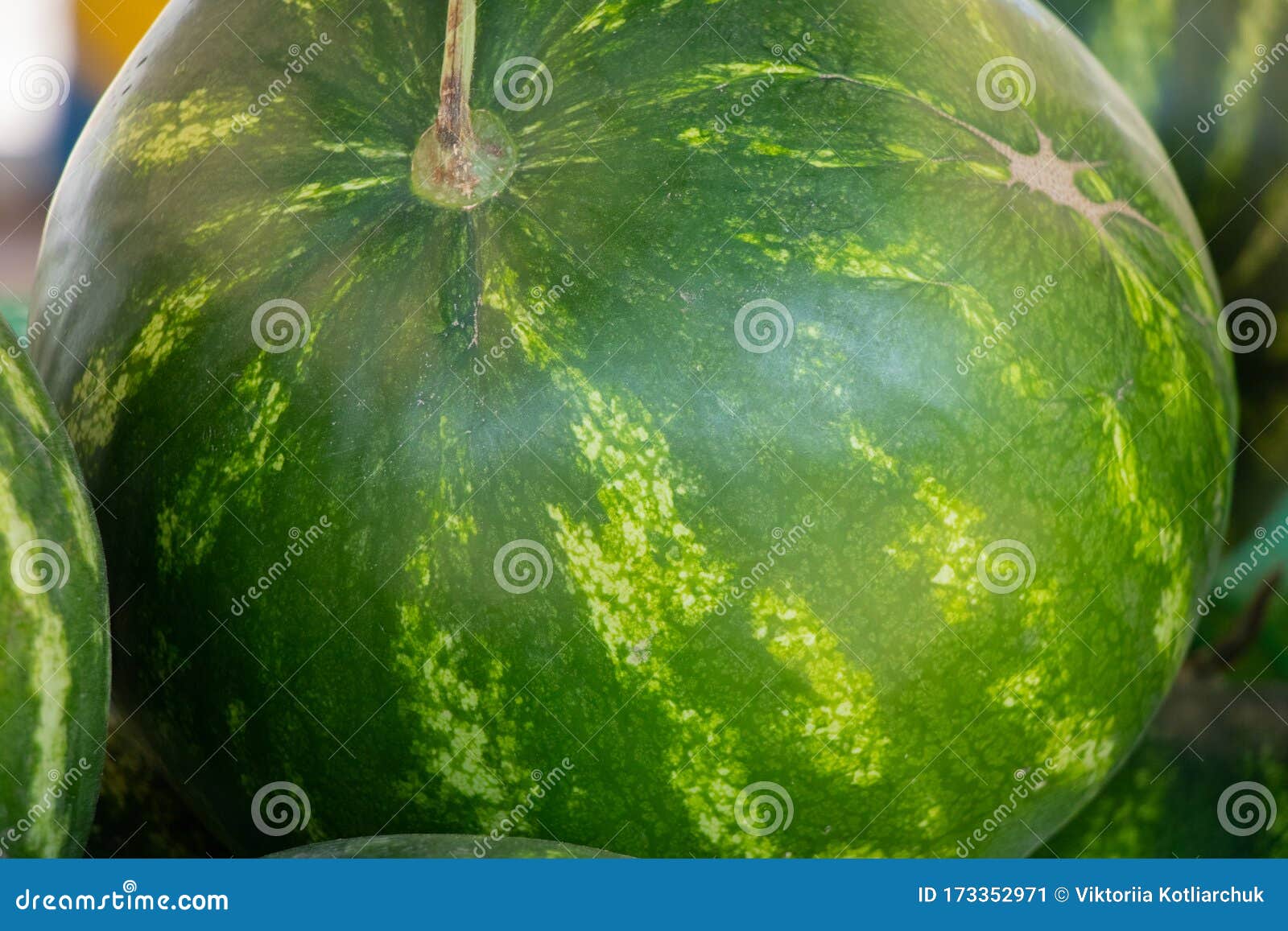 Watermelons at the Market on a Sunny Summer Day Stock Image - Image of ...