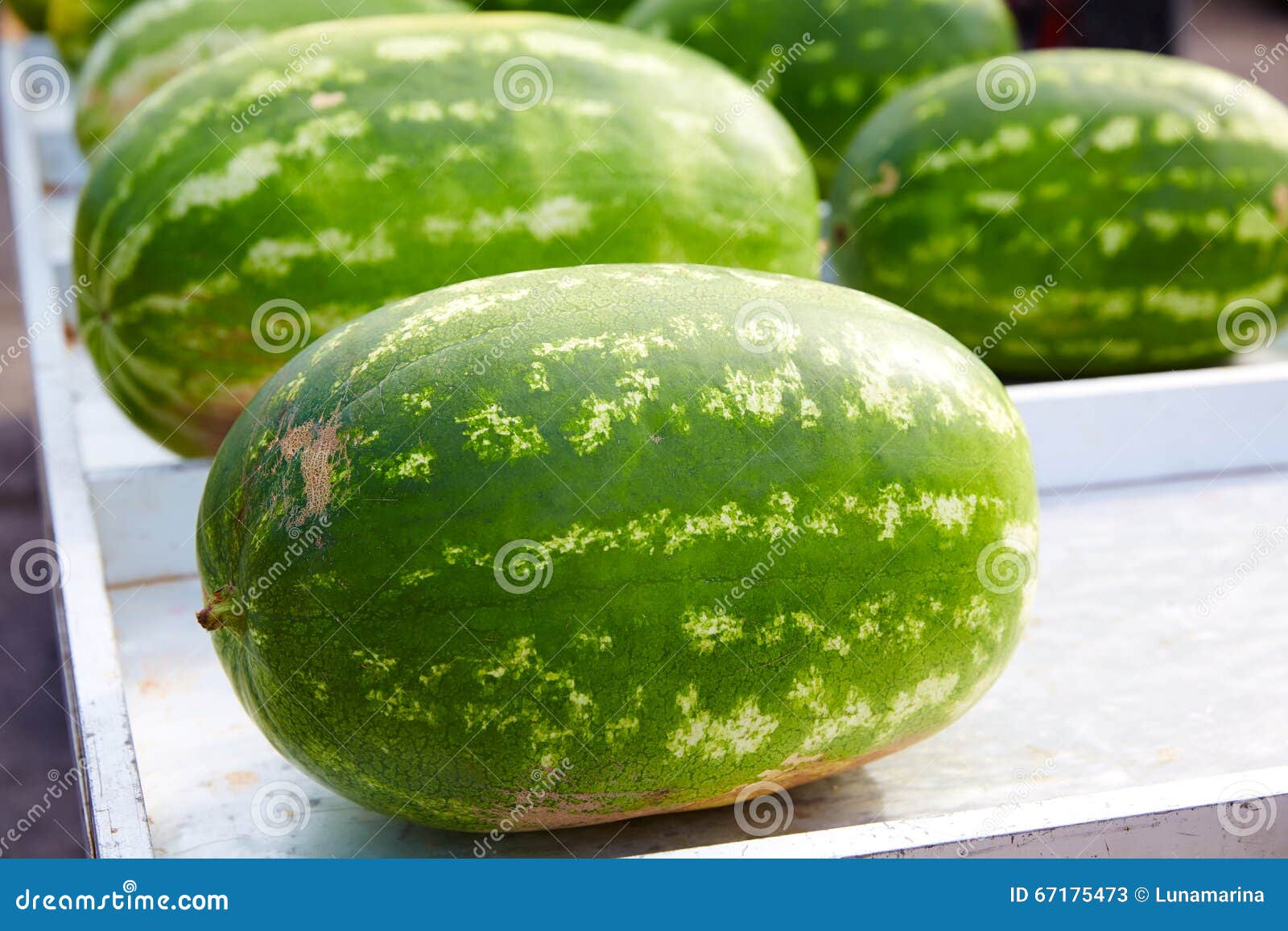 Watermelons in a Marketplace in a Row Stock Image - Image of fruit ...