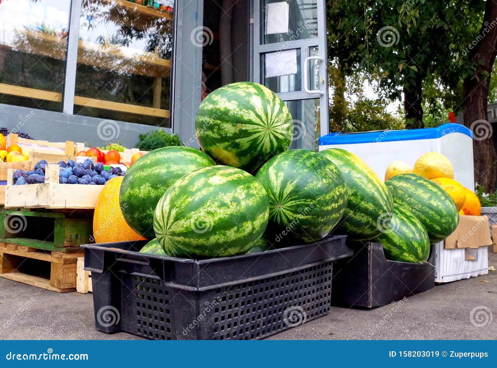 Watermelons in plastic box stock image. Image of sweet - 158203019