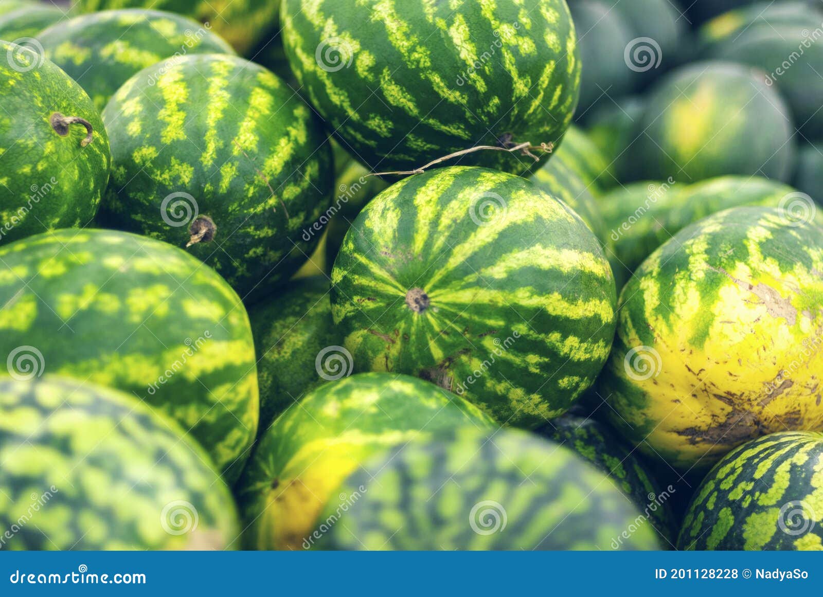 Water Melons for Sale in Grocery Store Stock Photo - Image of produce ...