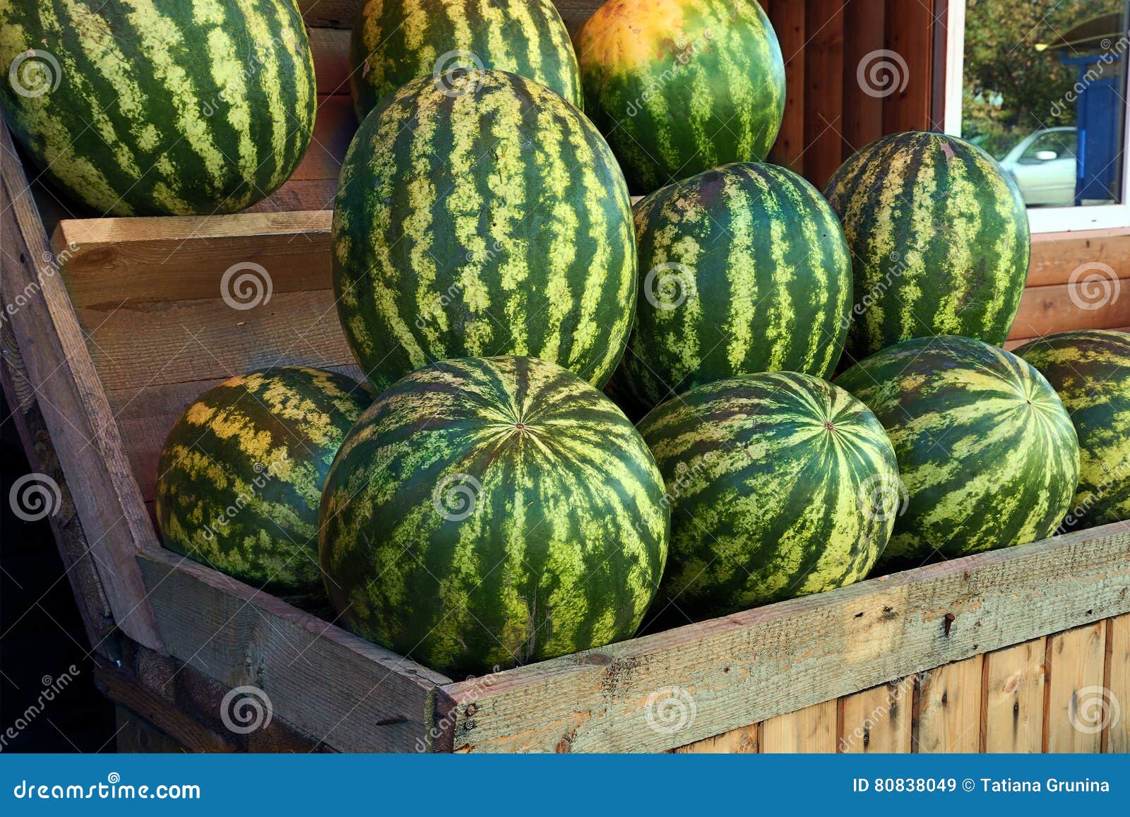 Watermelons Royalty-Free Stock Photography | CartoonDealer.com #18782021