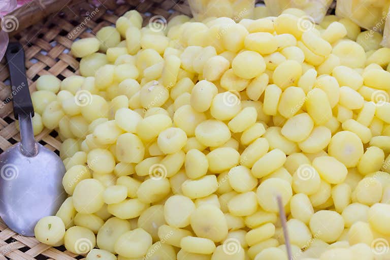 Waternut stock photo. Image of ladle, waternut, thai - 38503876