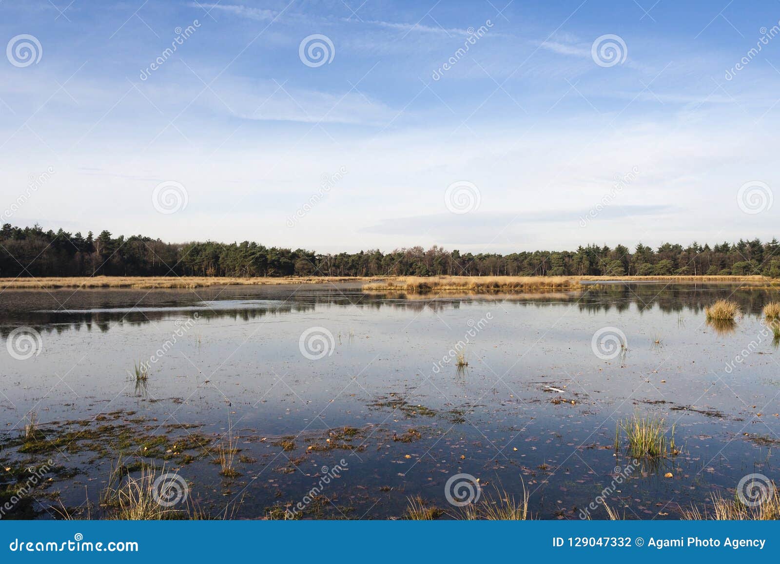 Waterplas En Het Gooi, Lago En Het Gooi Foto de archivo - Imagen de ...