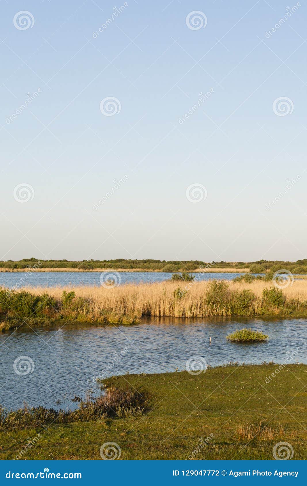 Waterplas, lago foto de archivo. Imagen de orujo, lago - 129047772