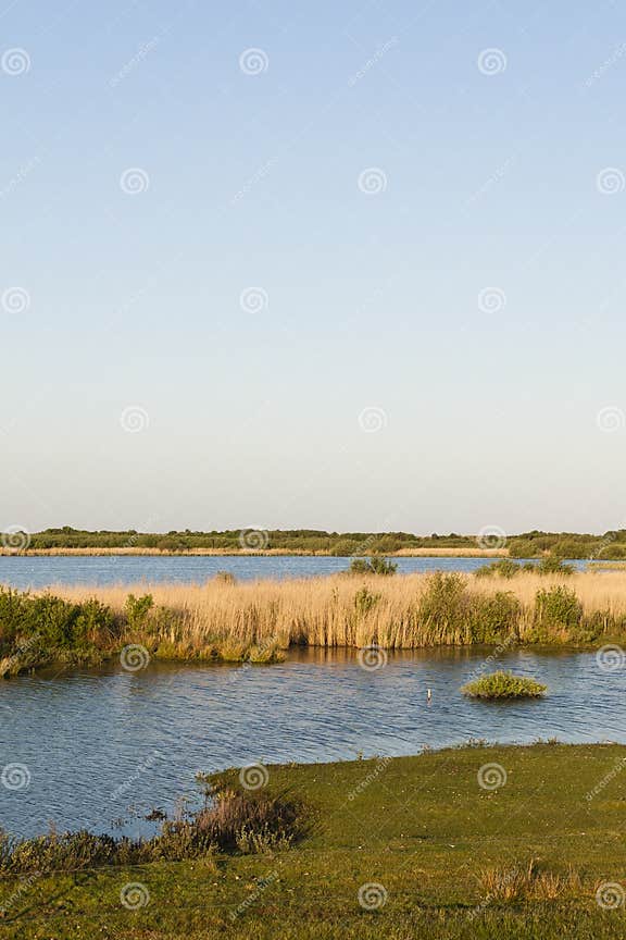 Waterplas, lago foto de archivo. Imagen de orujo, lago - 129047772