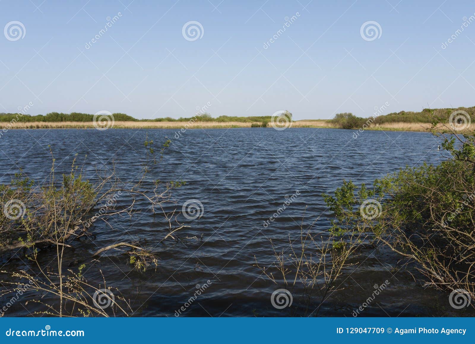 Waterplas, Lake stock image. Image of guyt, waterplas - 129047709