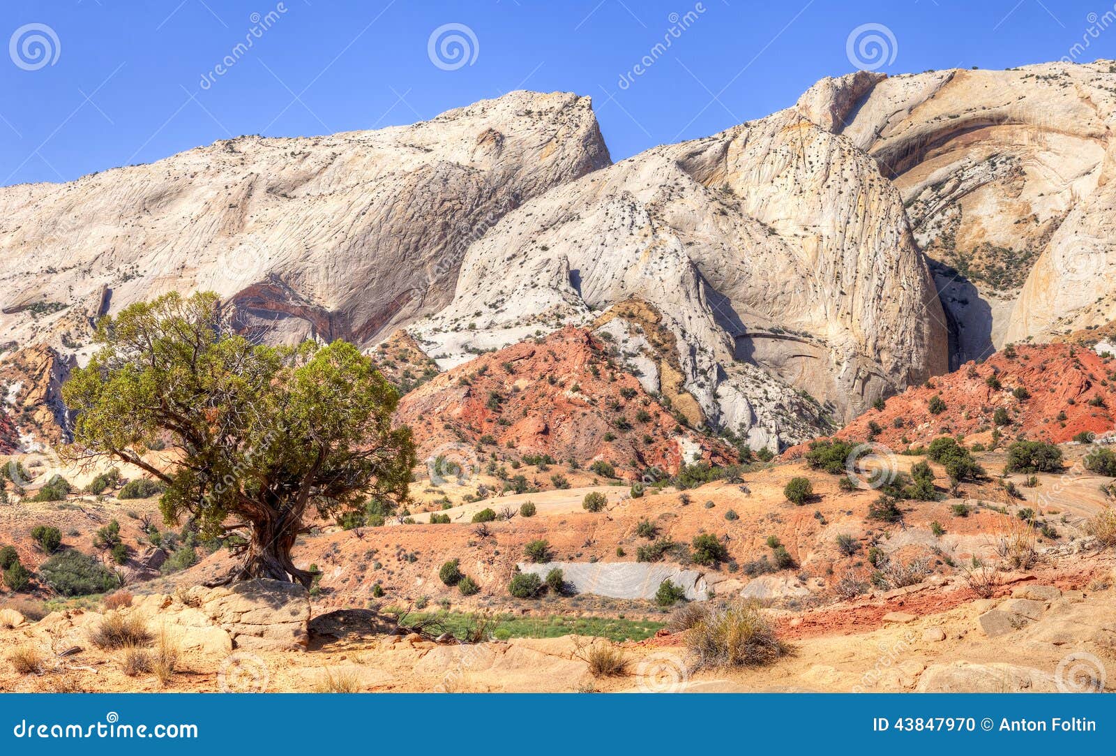 Waterpocket stock photo. Image of escalante, nature, folded - 43847970