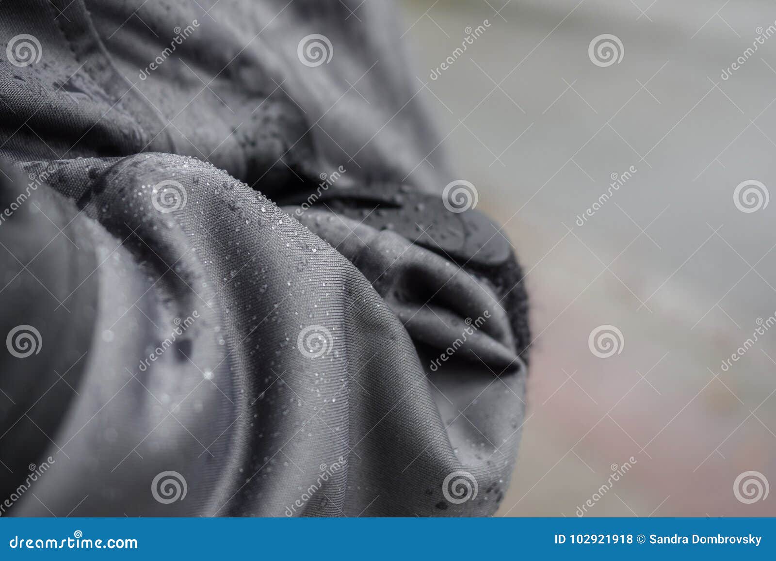 158 Softshell Texture Stock Photos - Free & Royalty-Free Stock Photos ...