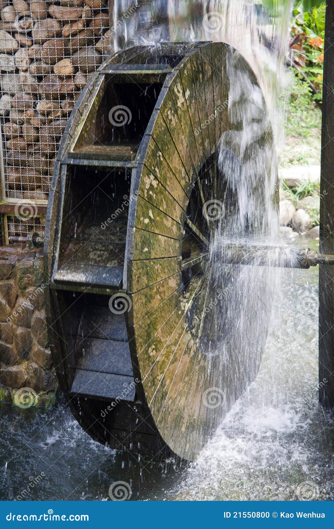 Waterrad stock foto. Afbeelding bestaande uit forel, seeing - 21550800