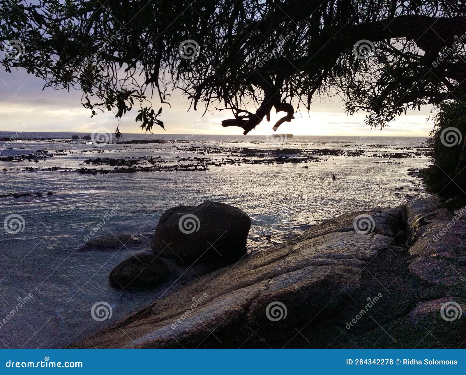 Waters edge stock photo. Image of side, waters, view - 284342278