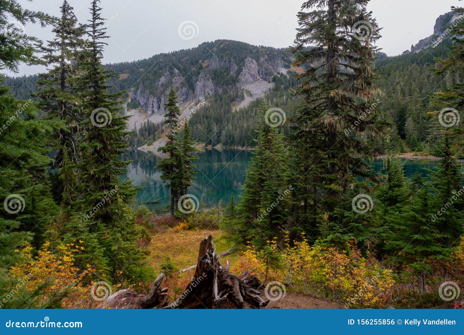 Tolmie Peak Trail At Mount Rainier National Park Stock Photo ...