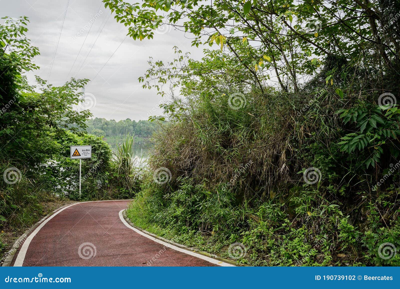 Curving Lakeside Painted Path In Green Lawn On Sunny Winter Day Editorial Image | CartoonDealer ...