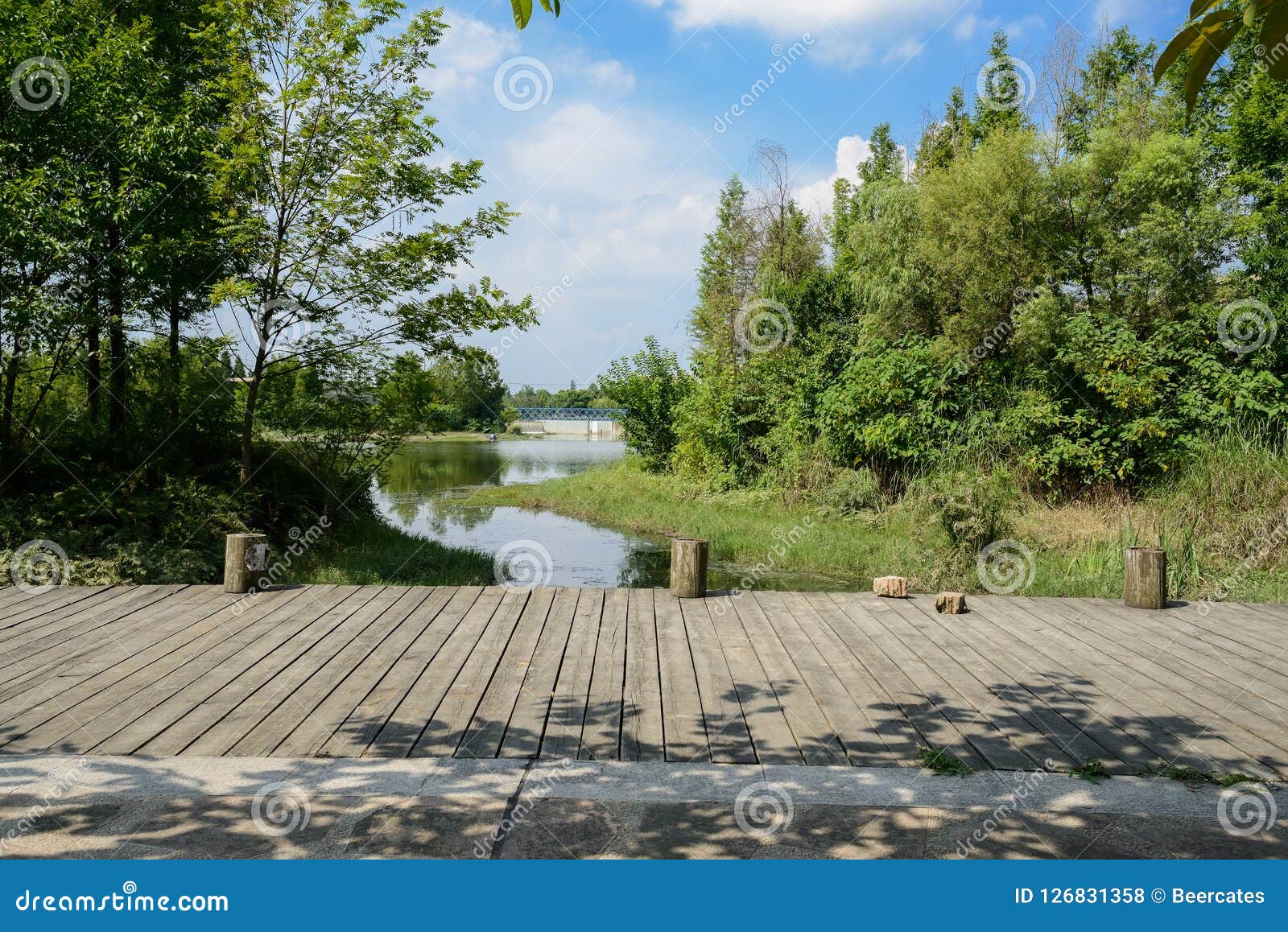Waterside Planked Path in Sunny Summer Afternoon Stock Photo - Image of ...