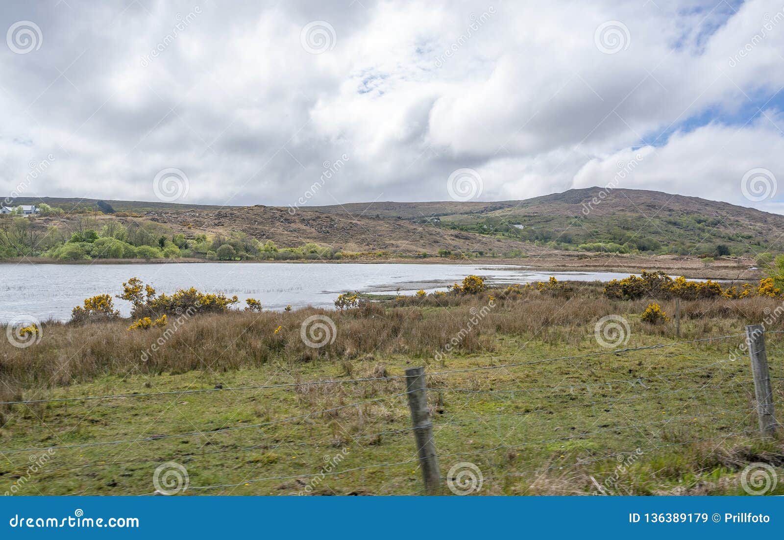 Waterside Scenery in Connemara Stock Image - Image of natural, connacht ...