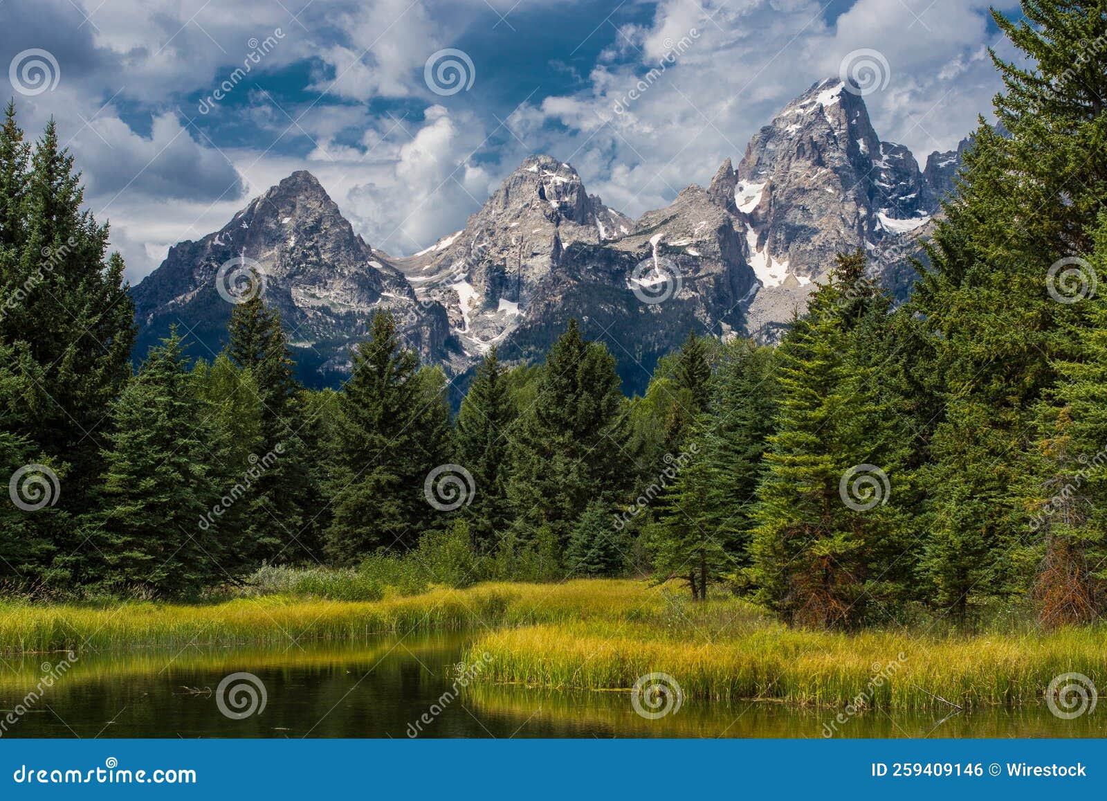 Waterside Trees before the Rocky Mountains Range Under the Blue Cloudy ...