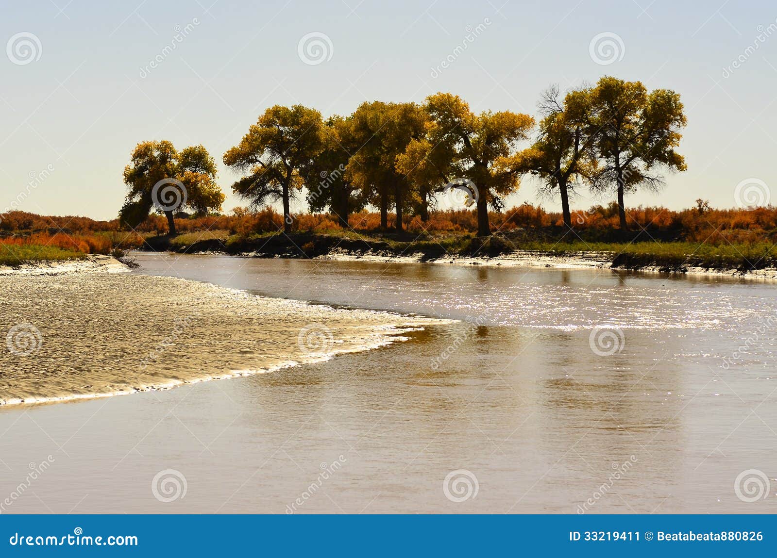 Waterside trees stock image. Image of china, famous, irrigation - 33219411