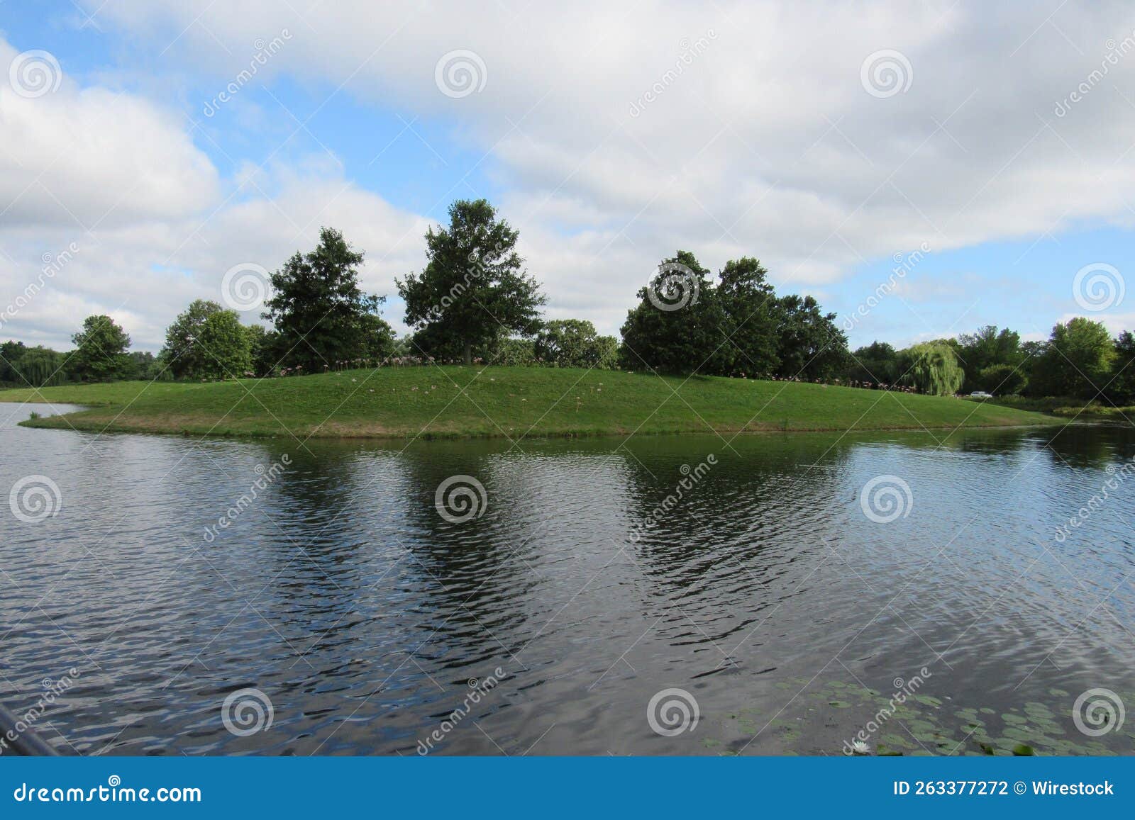 Waterside View of a Grass-covered Slope with Flowers and Trees Under ...