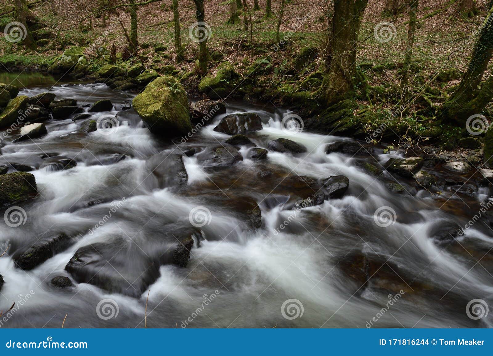 Watersmeet in Devon stock photo. Image of environment - 171816244
