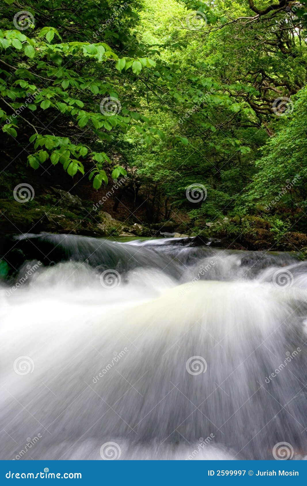 Watersmeet Waterfall, England Stock Image - Image of motion, colors ...