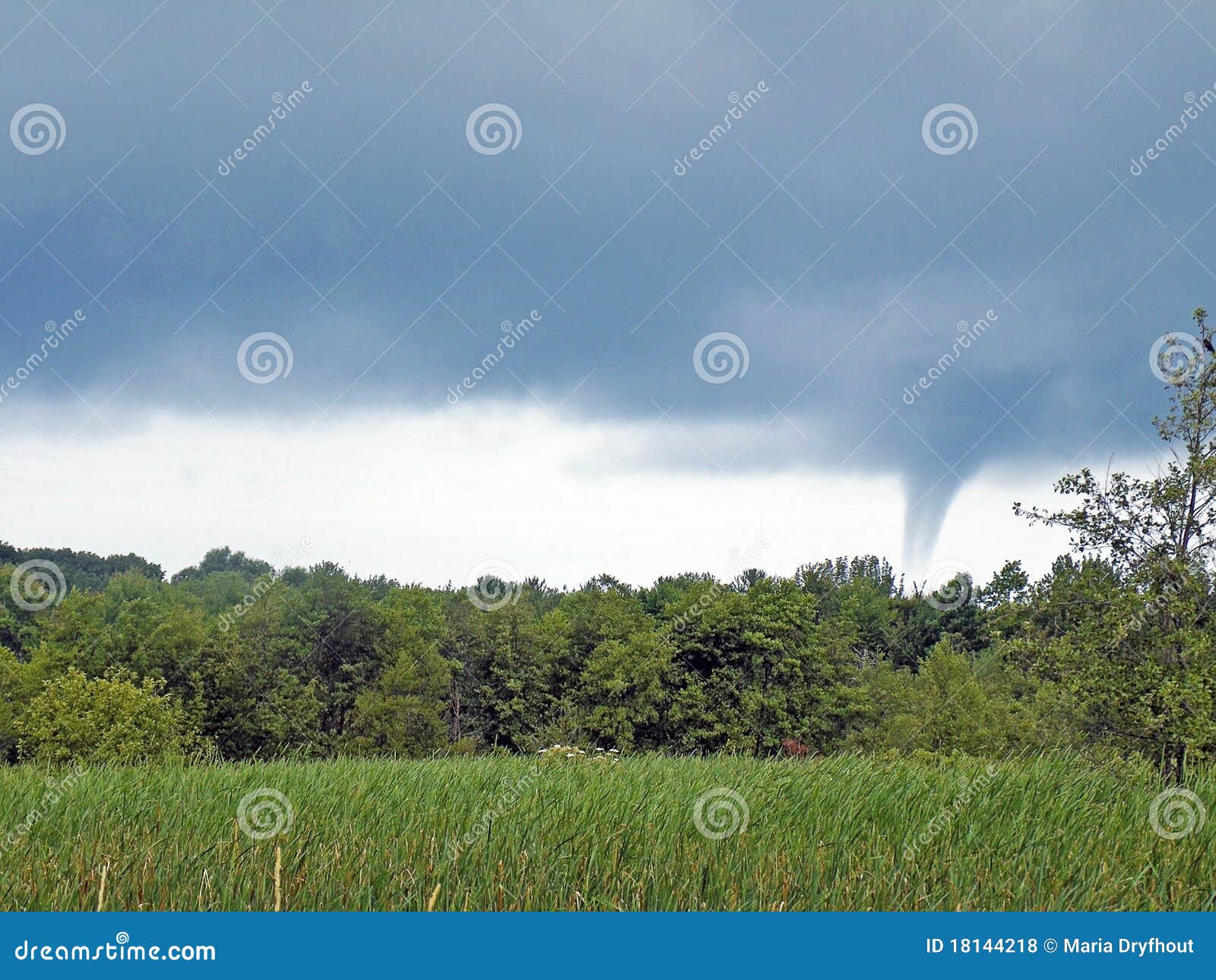 Waterspout stock photo. Image of formation, force, marsh - 18144218