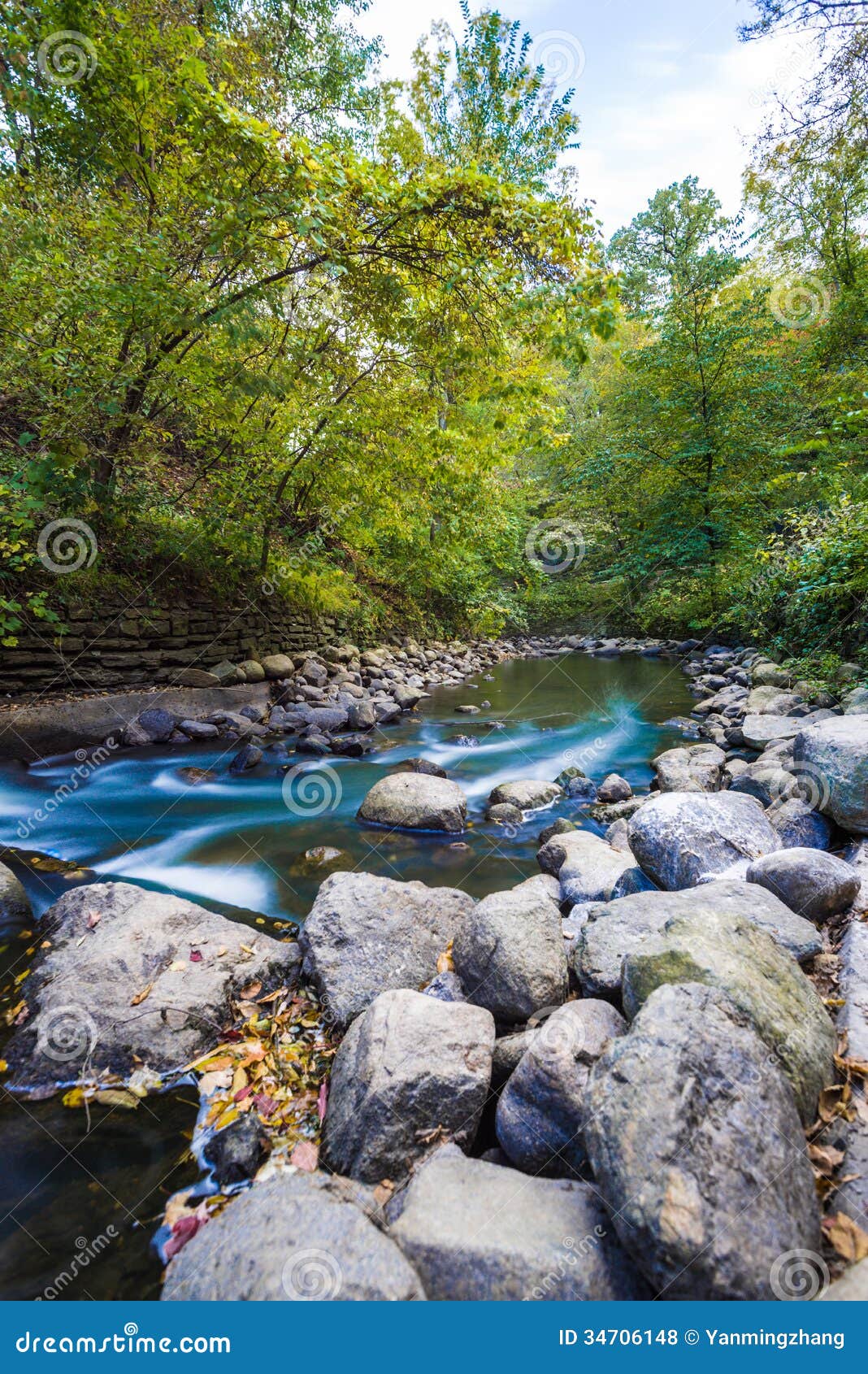 Waterstroom door bos stock foto. Image of rood, lang - 34706148