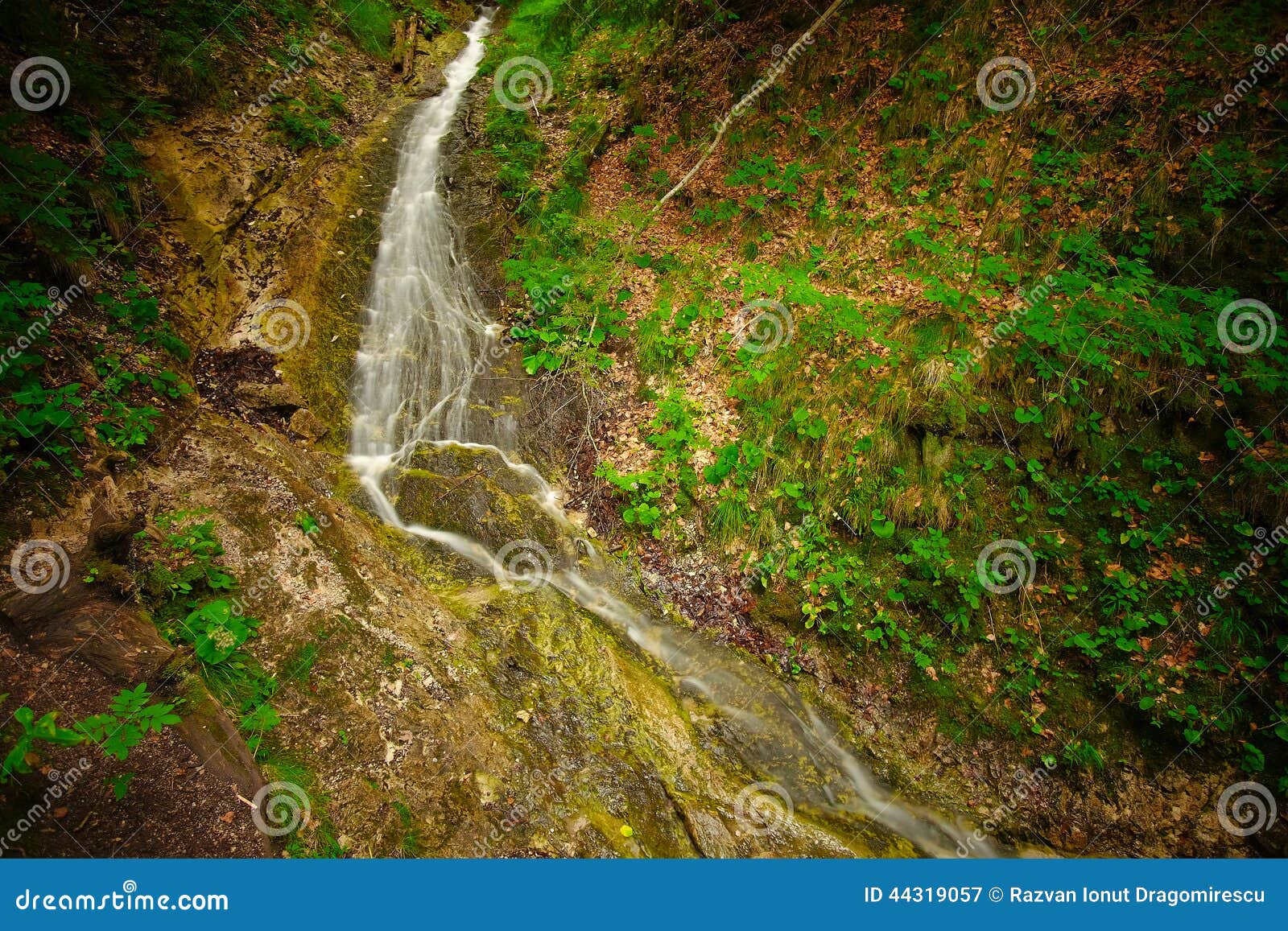 Waterstroom in het bos stock afbeelding. Image of daling - 44319057