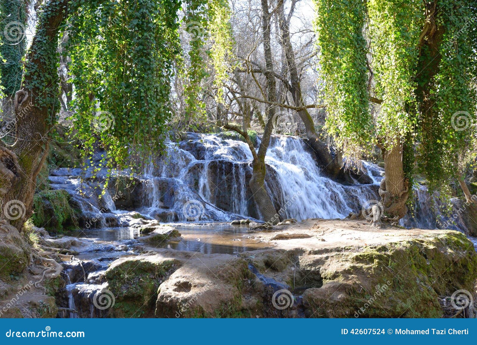 Waterval 2 stock foto. Image of tuin, wild, waterval - 42607524