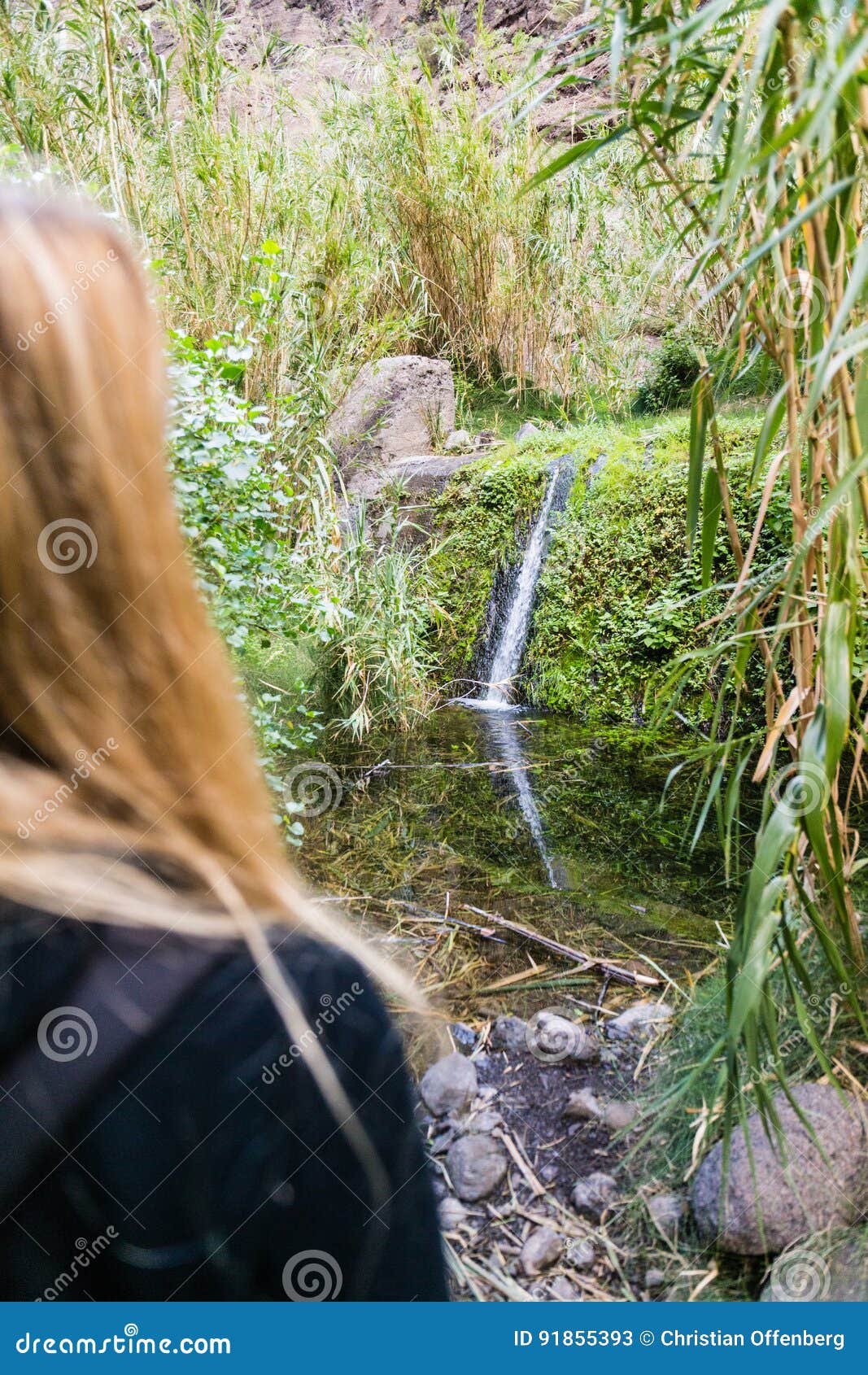 Waterval Bij Masca-Kloof in Tenerife Stock Afbeelding - Image of ...