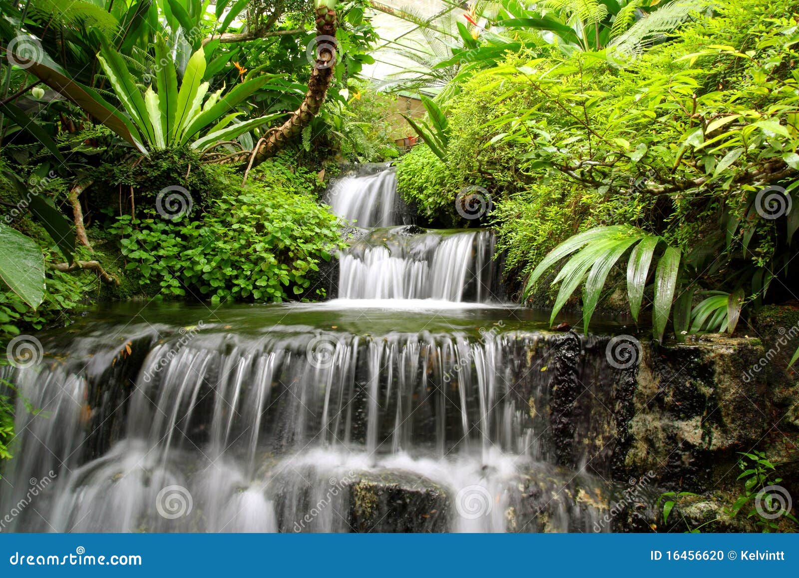 Waterval in het Regenwoud stock foto. Image of daling - 16456620