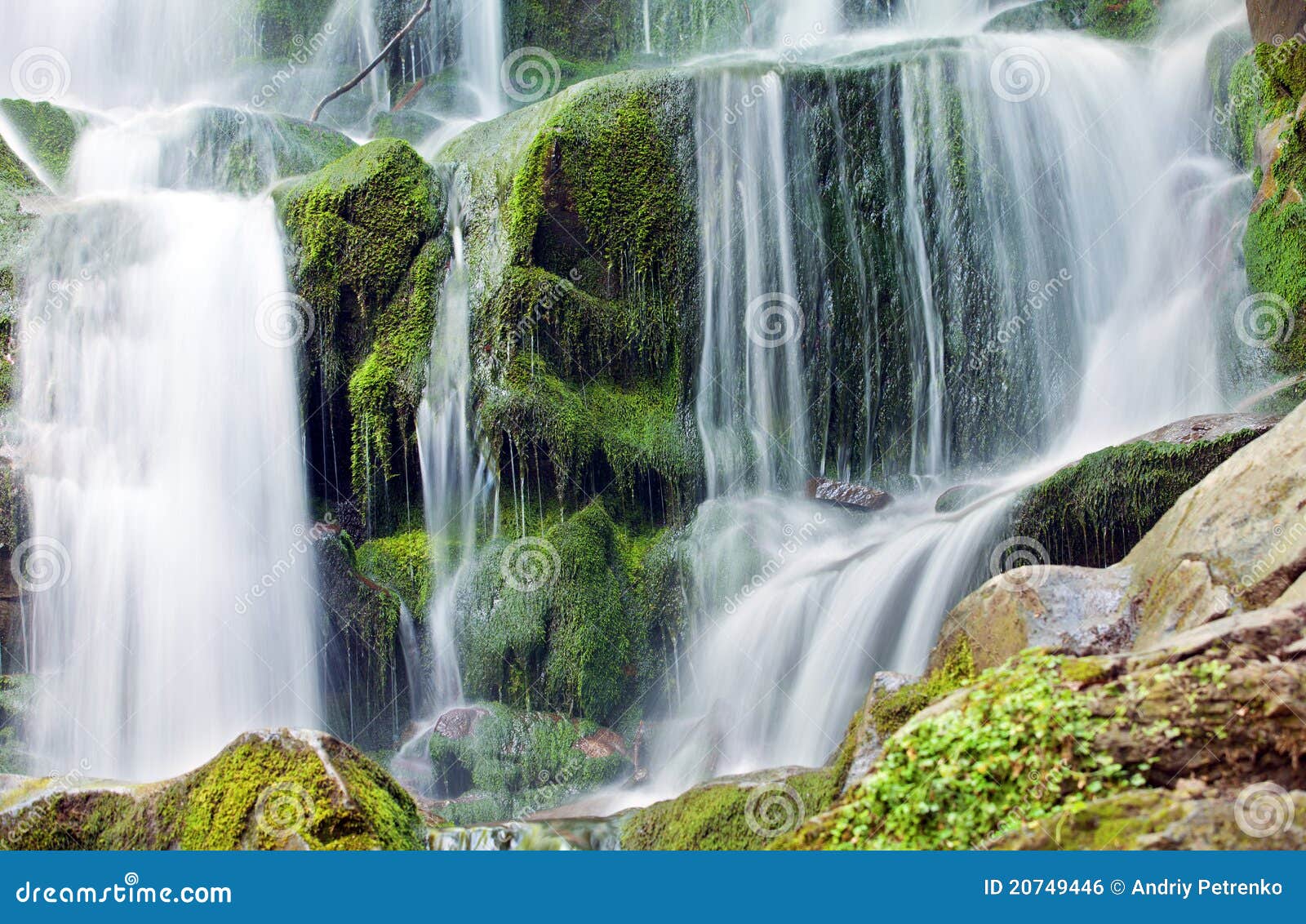 Waterval Met Bomen En Rotsen in Berg Stock Foto - Image of berg ...