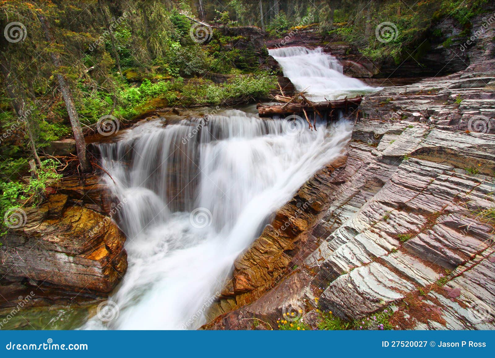 Waterval Van Het Park Van De Gletsjer De Nationale Stock Afbeelding ...