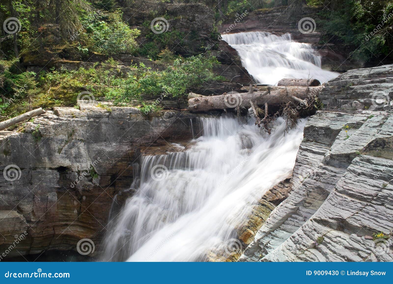 Waterval Van Het Park Van De Gletsjer De Nationale Stock Foto - Image ...