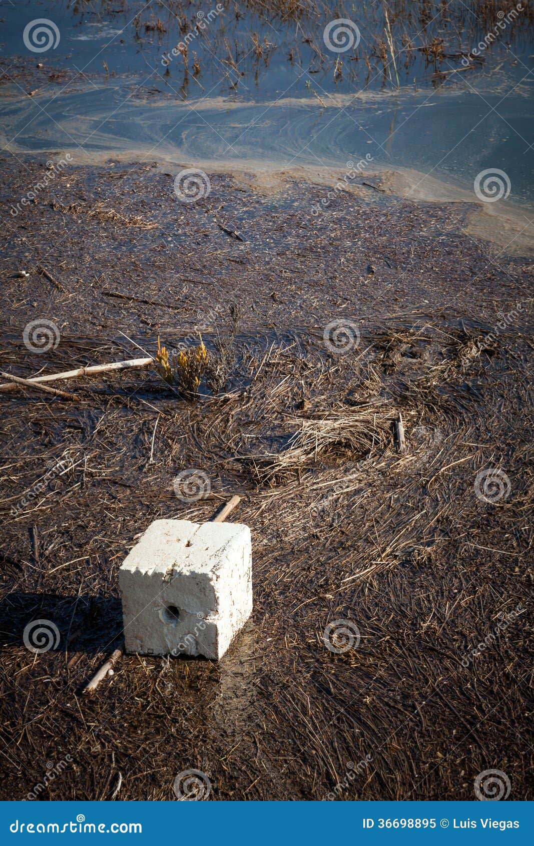 Watervervuiling stock afbeelding. Image of giftig, vuil - 36698895