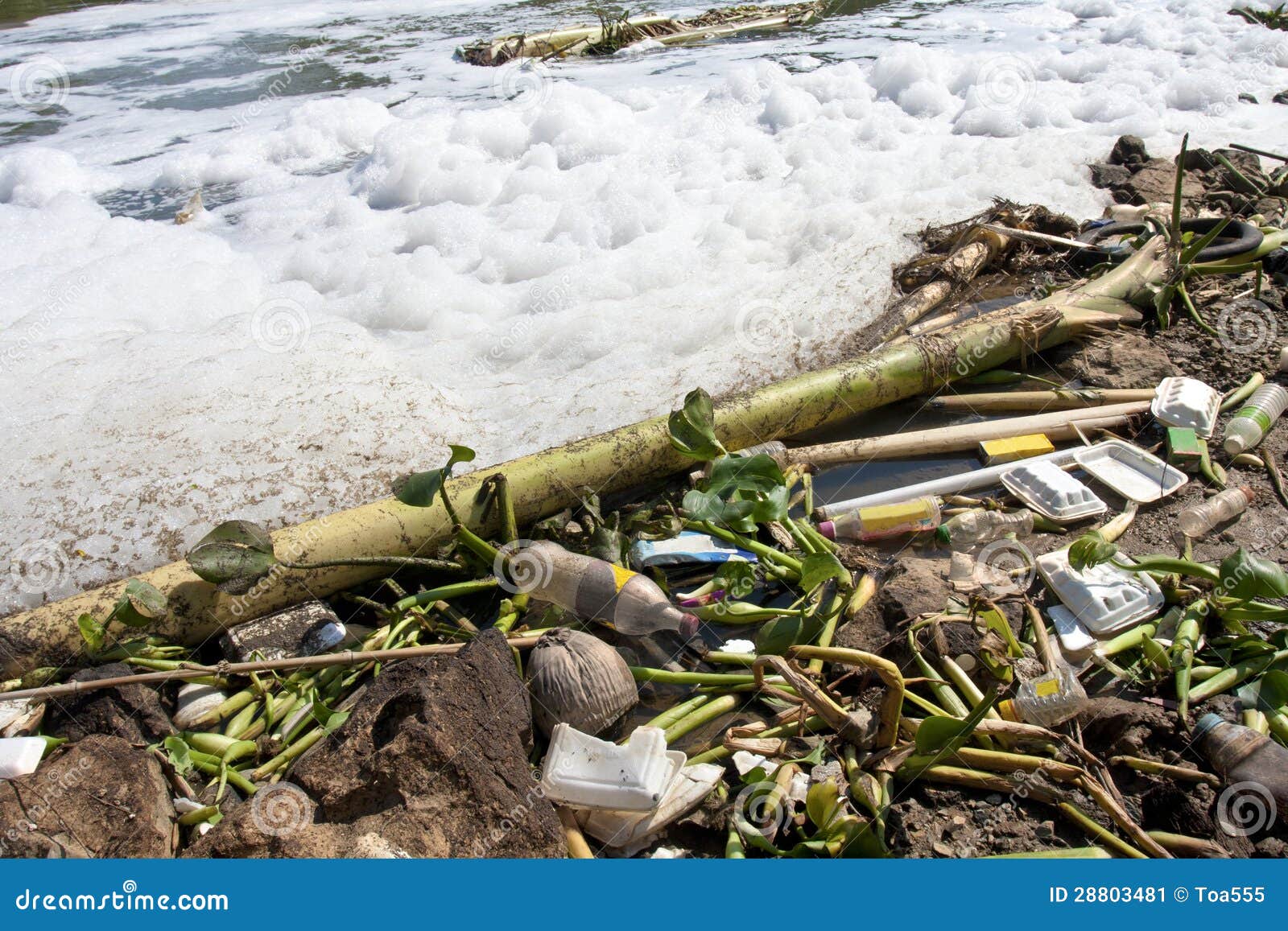 Watervervuiling in rivier stock afbeelding. Image of ecologie - 28803481