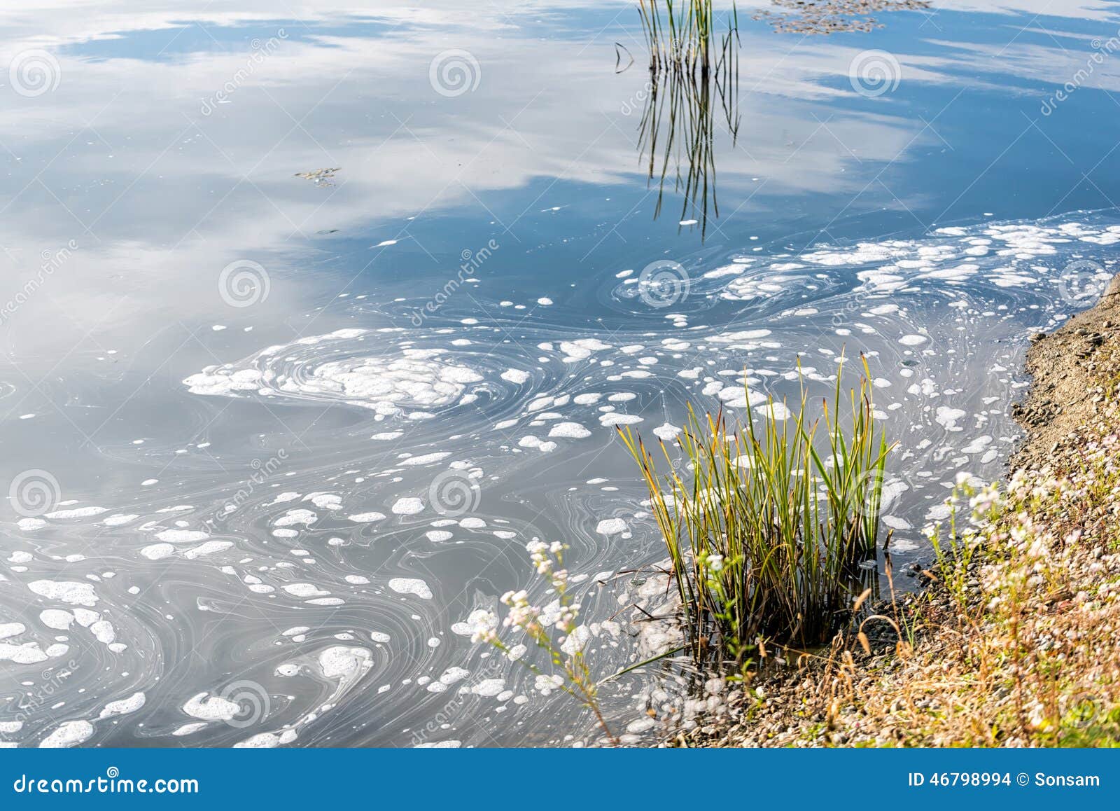 Watervervuiling in Rivier - Het Globale Verwarmen Stock Foto - Image of ...
