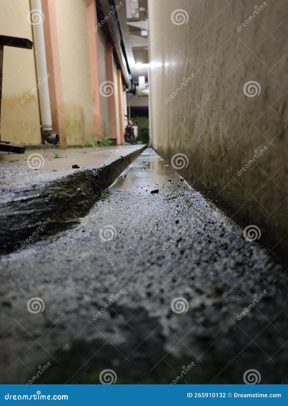 Waterway from a Frog Perspective Stock Photo - Image of black, darkness ...