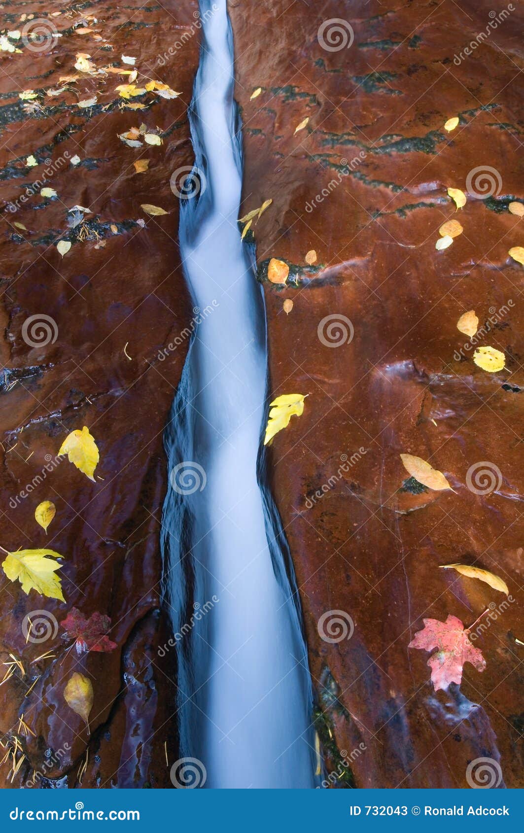 Waterway II stock image. Image of national, channel, discover - 732043