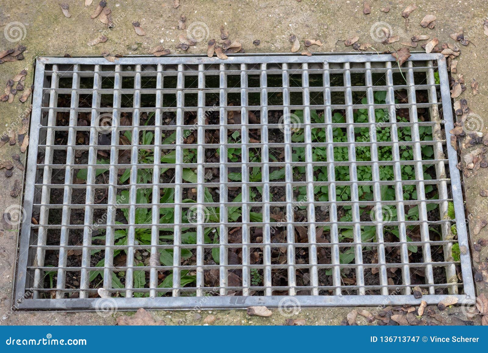 Waterway And Road Grass Iron Grate Of Water Drain In Grass Garden Field Steel Rusty Grating
