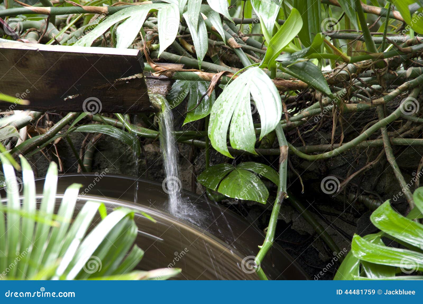 330 Waterwheel Plant Stock Photos - Free & Royalty-Free Stock Photos ...