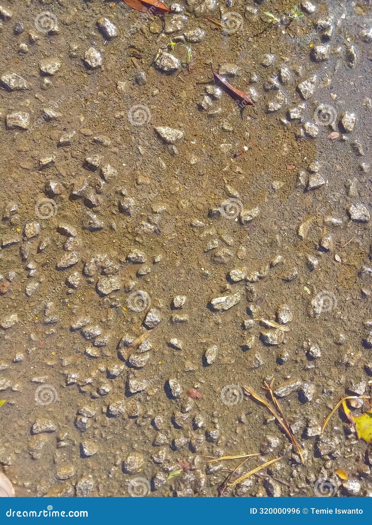 The Watery Asphalt Way after Rain Stock Photo - Image of rainr, asphalt ...