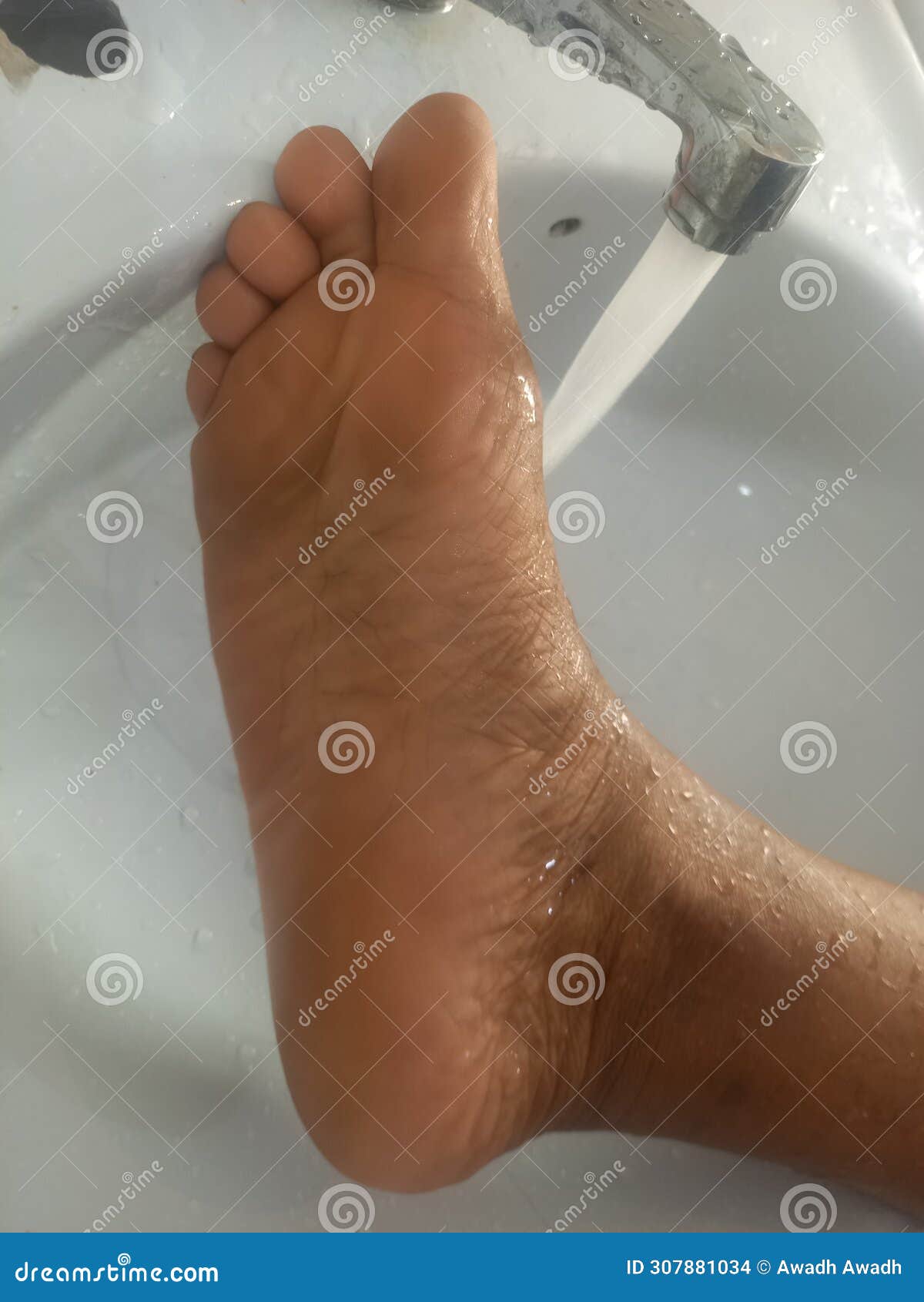 Watery nice feet picture stock photo. Image of quality - 307881034