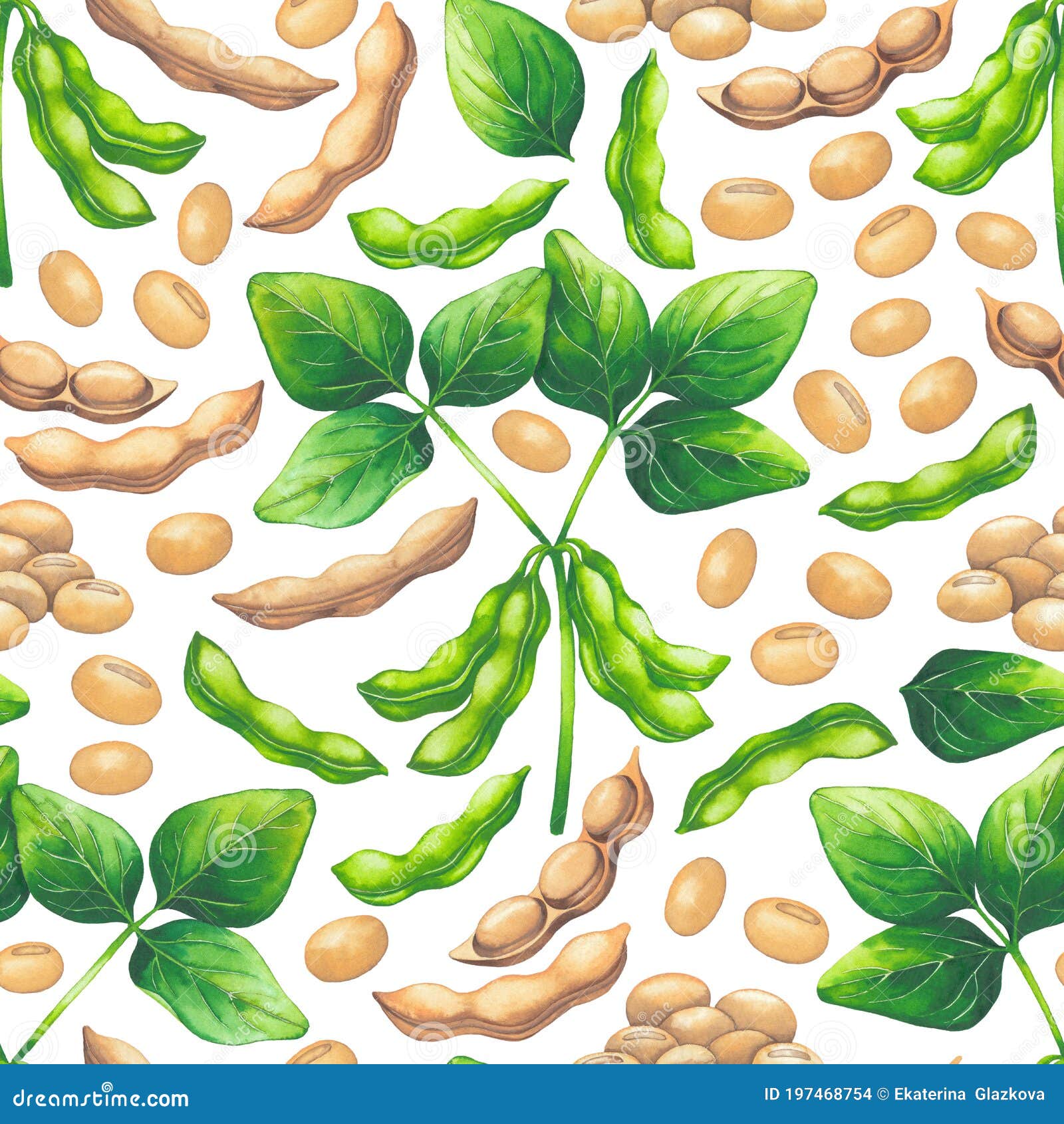 Watetcrolor Seamless Pattern of Soy Beans and Leaves. Stock ...