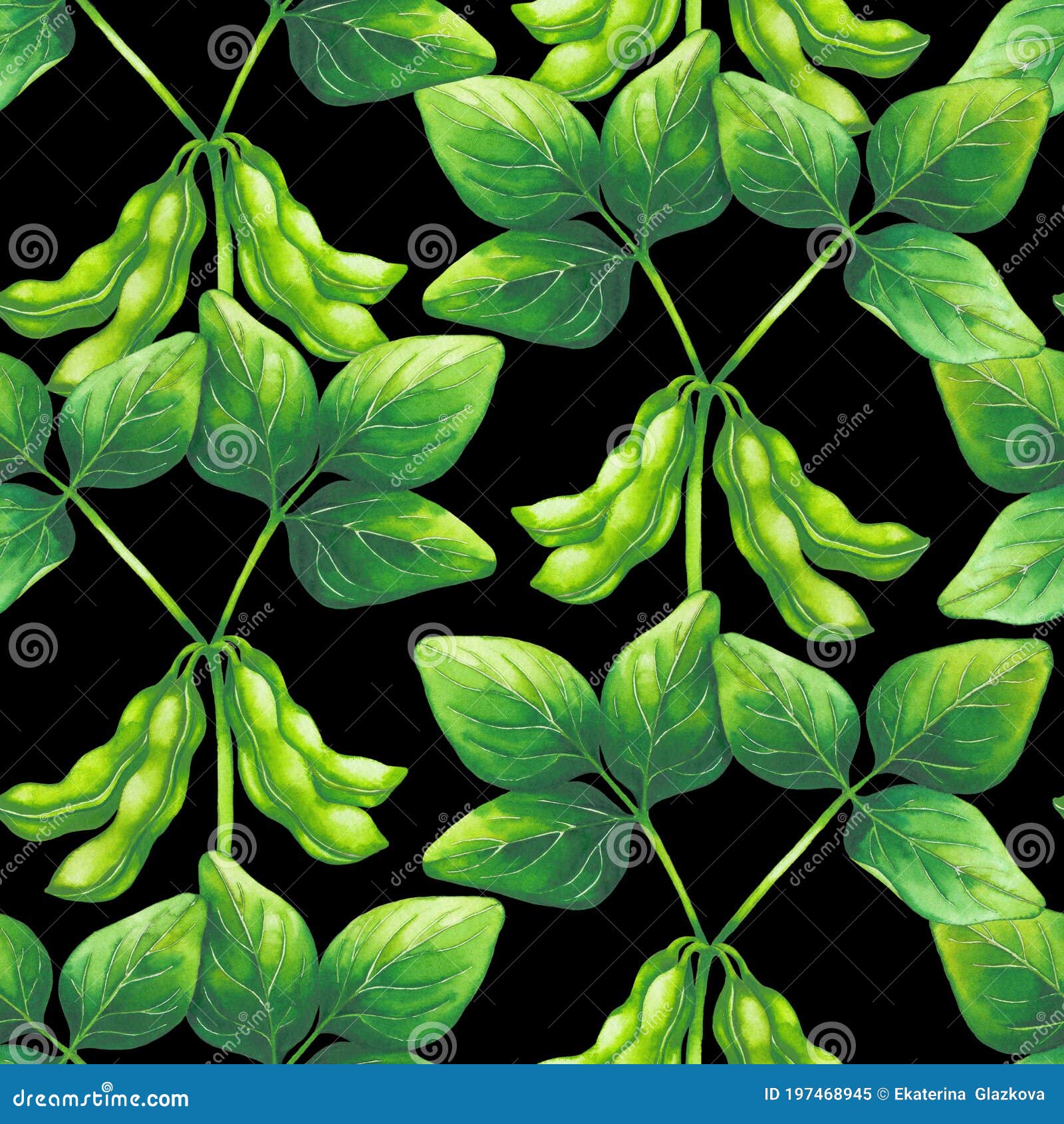 Watetcrolor Seamless Pattern of Soy Beans and Leaves. Stock ...