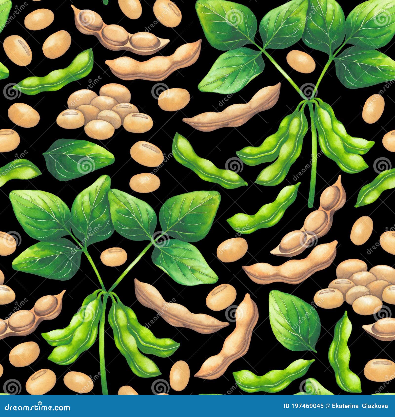 Watetcrolor Seamless Pattern of Soy Beans and Leaves. Stock ...