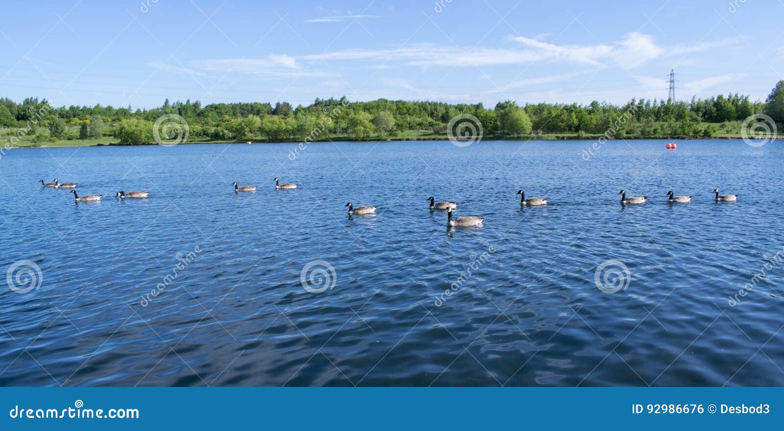 Wath Manvers Lake stock photo. Image of river, sunny - 92986676