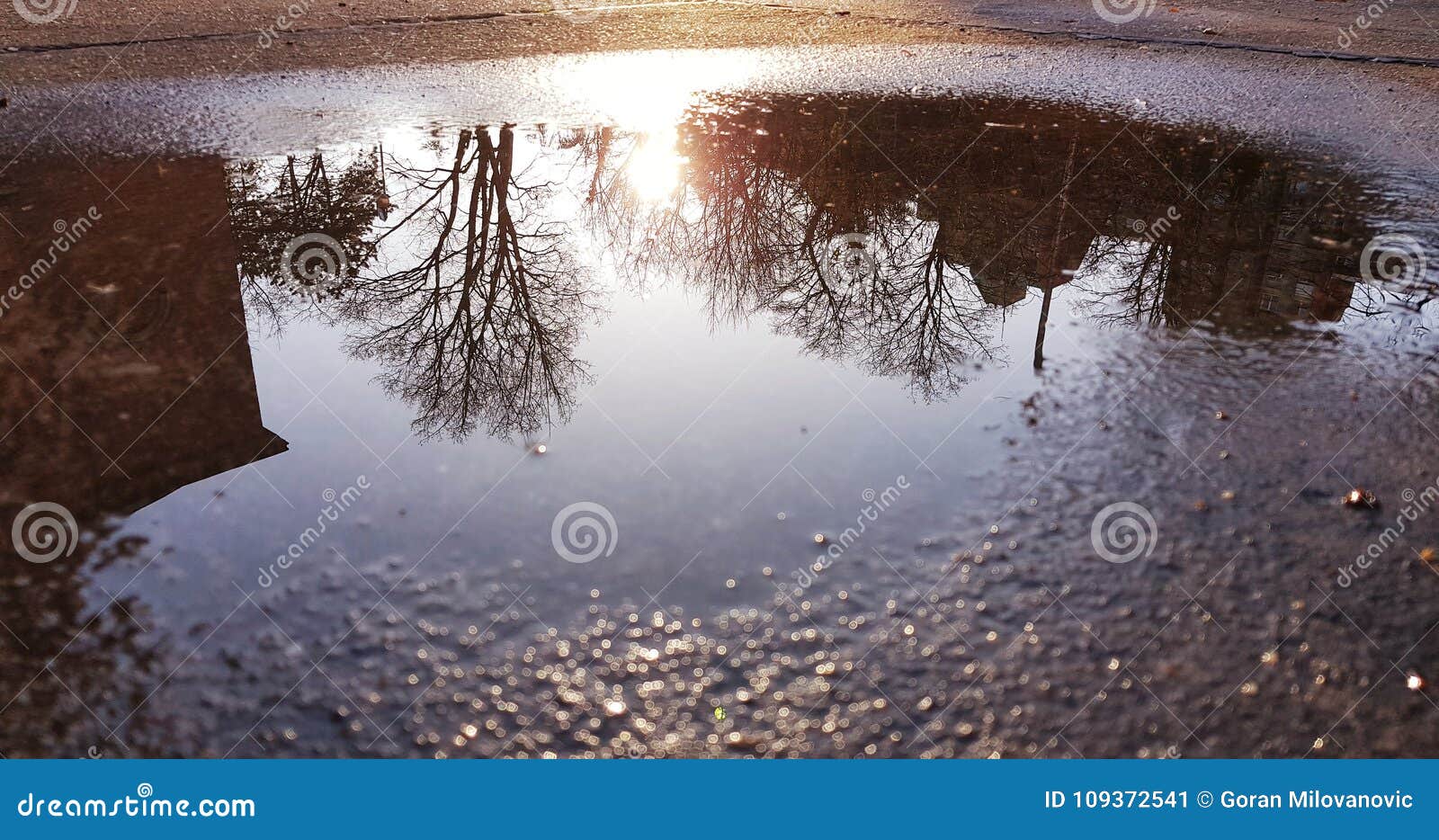 Wather, rain stock image. Image of rain, mirror, wood - 109372541